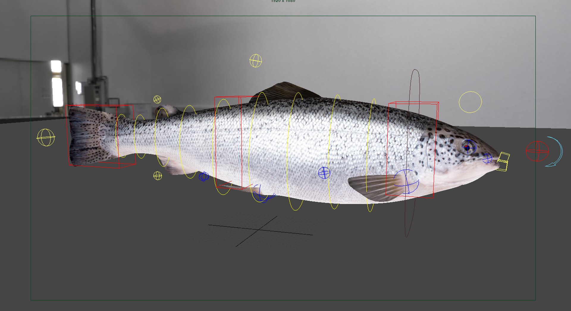 3D Salmon Animated - TurboSquid 2358732