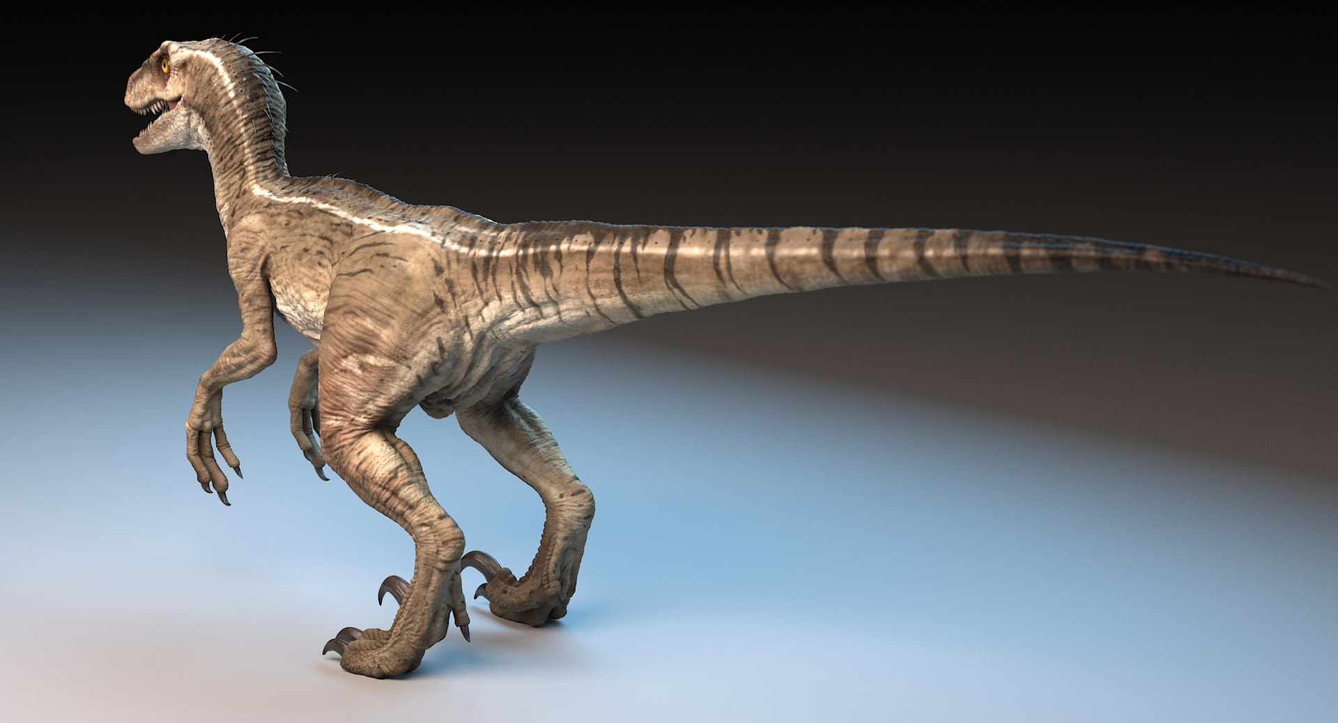 Raptor Dinosaur 3d Model