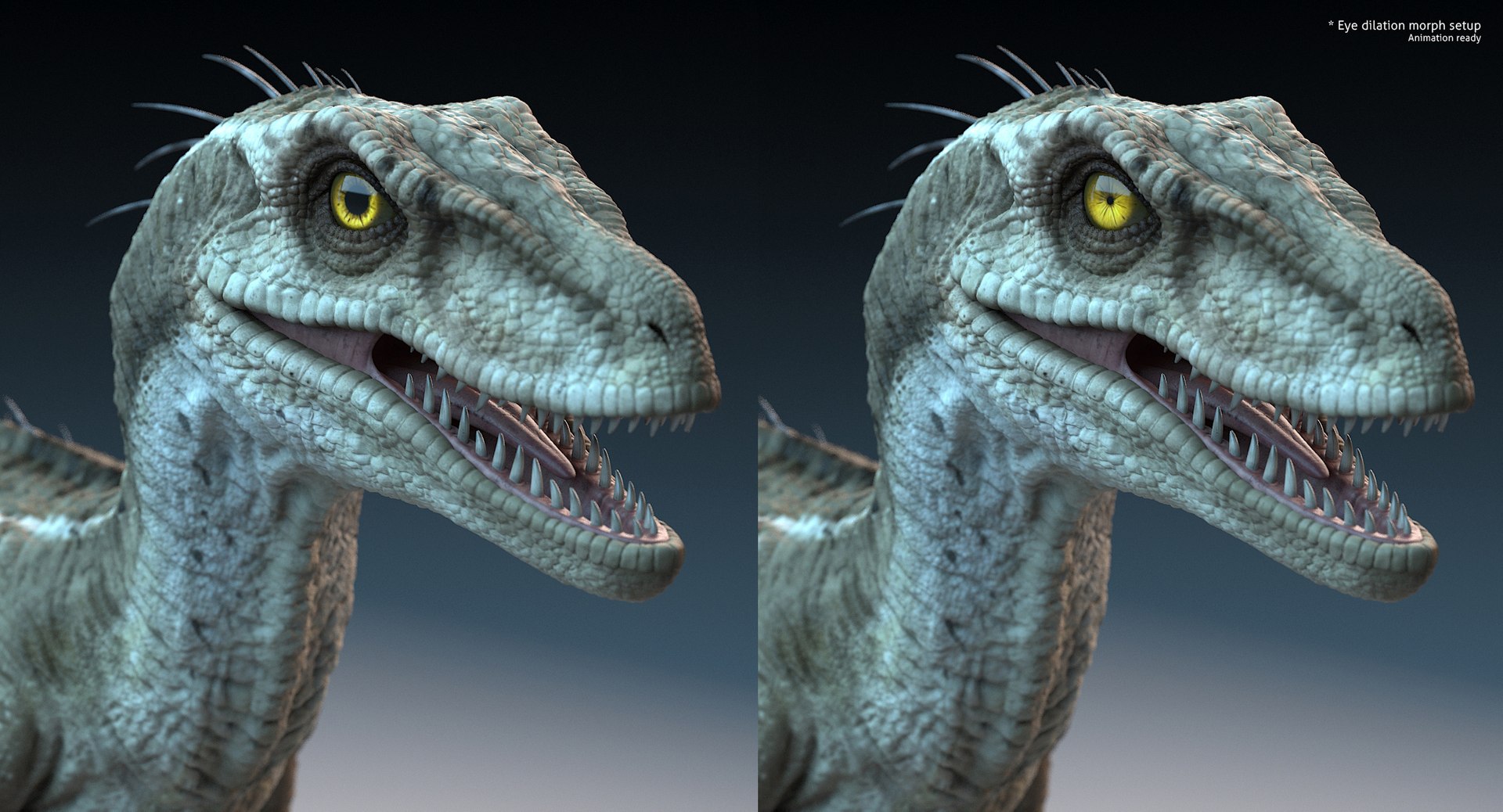 Raptor Dinosaur 3d Model