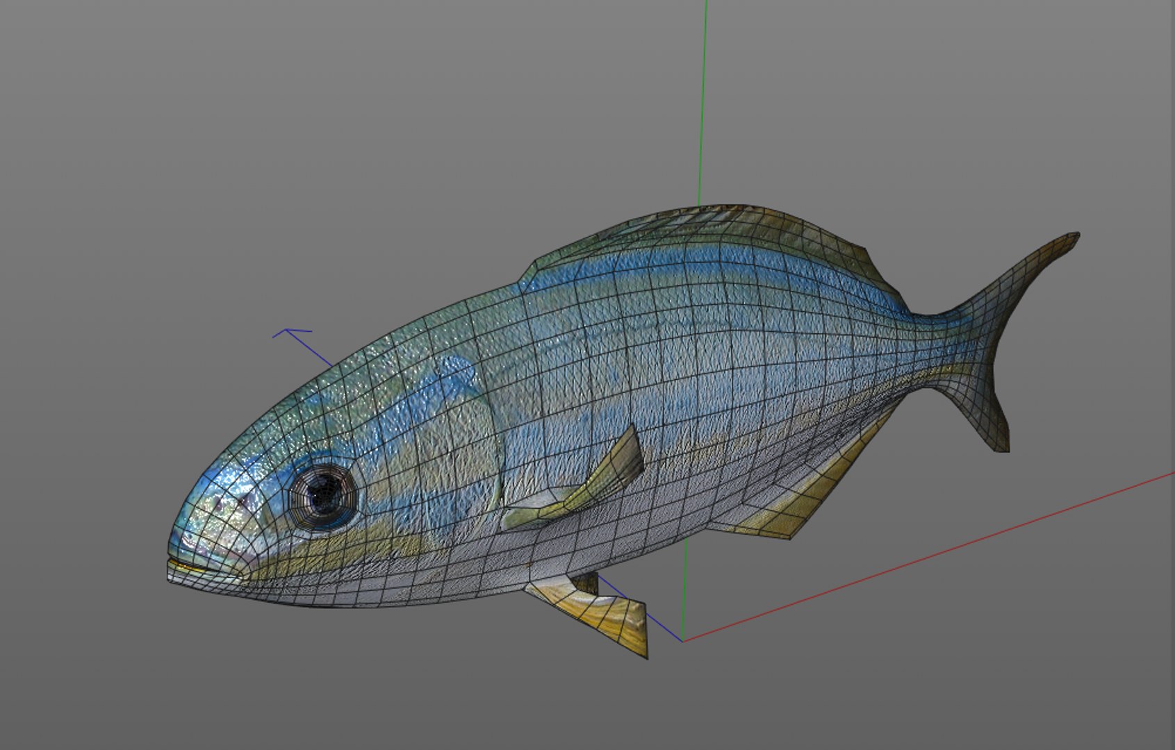 3D Fish Model - TurboSquid 1551921