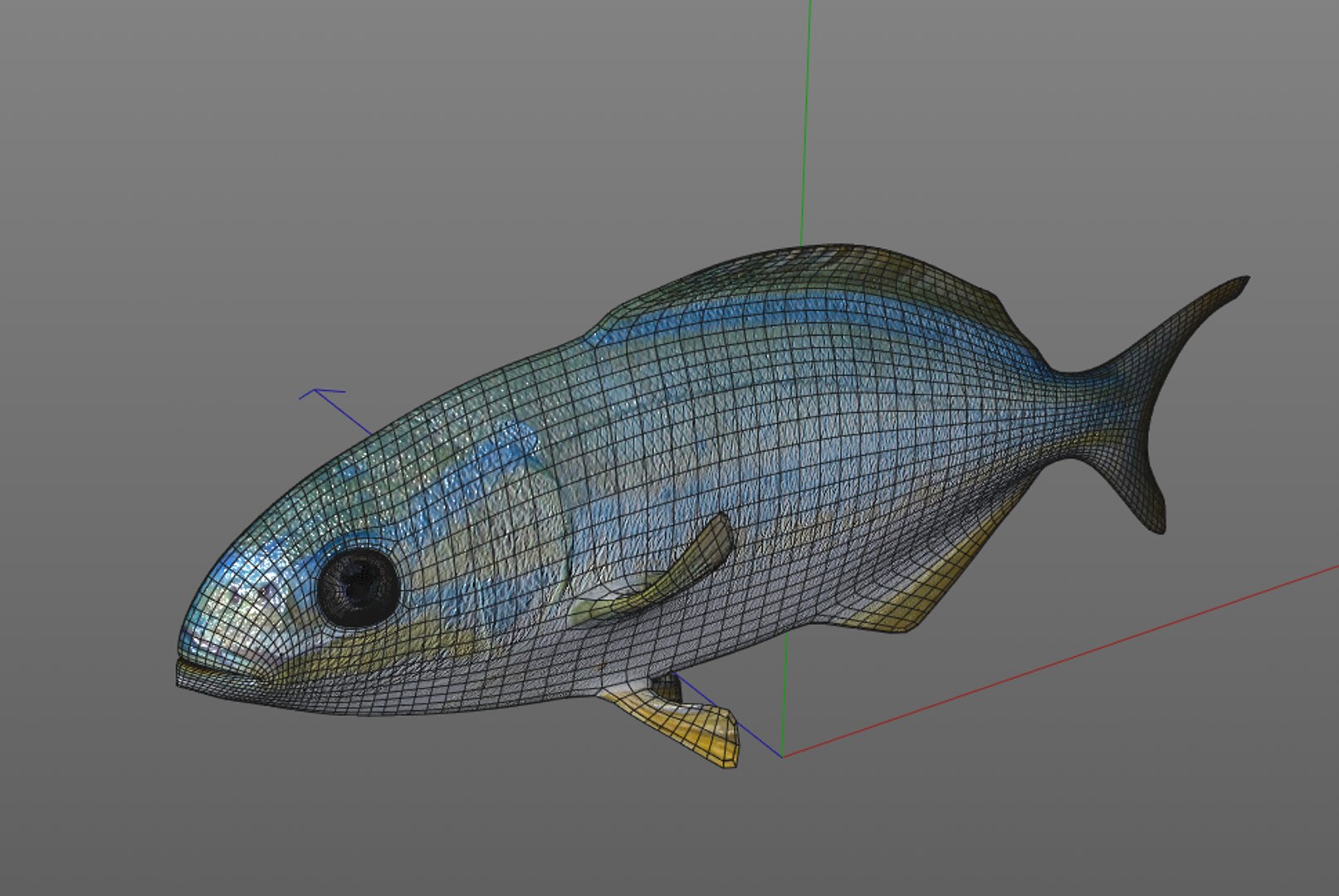3D Fish Model - TurboSquid 1551921