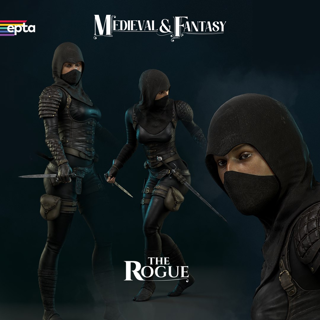 The Rogue 3D - TurboSquid 1911662