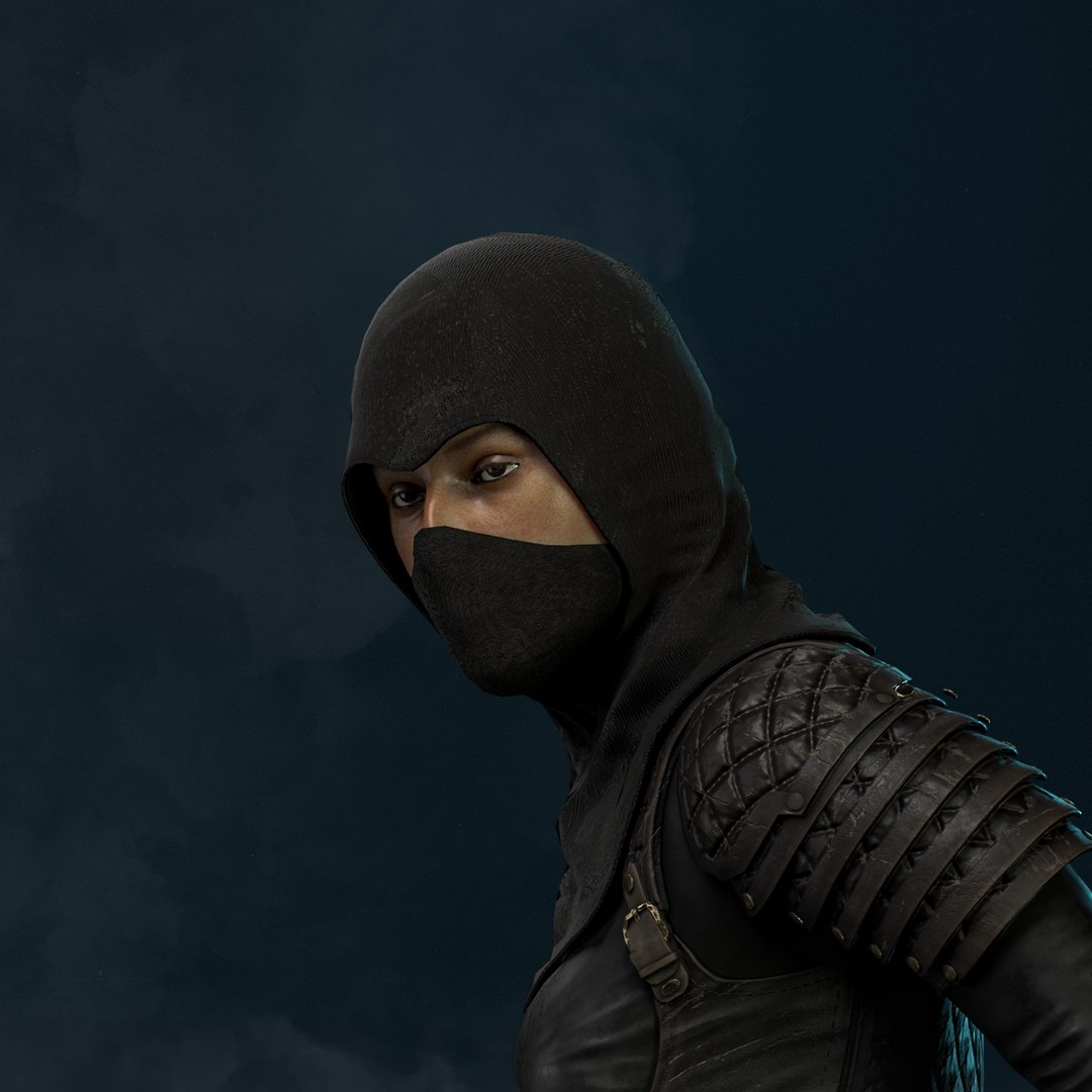 The Rogue 3D - TurboSquid 1911662