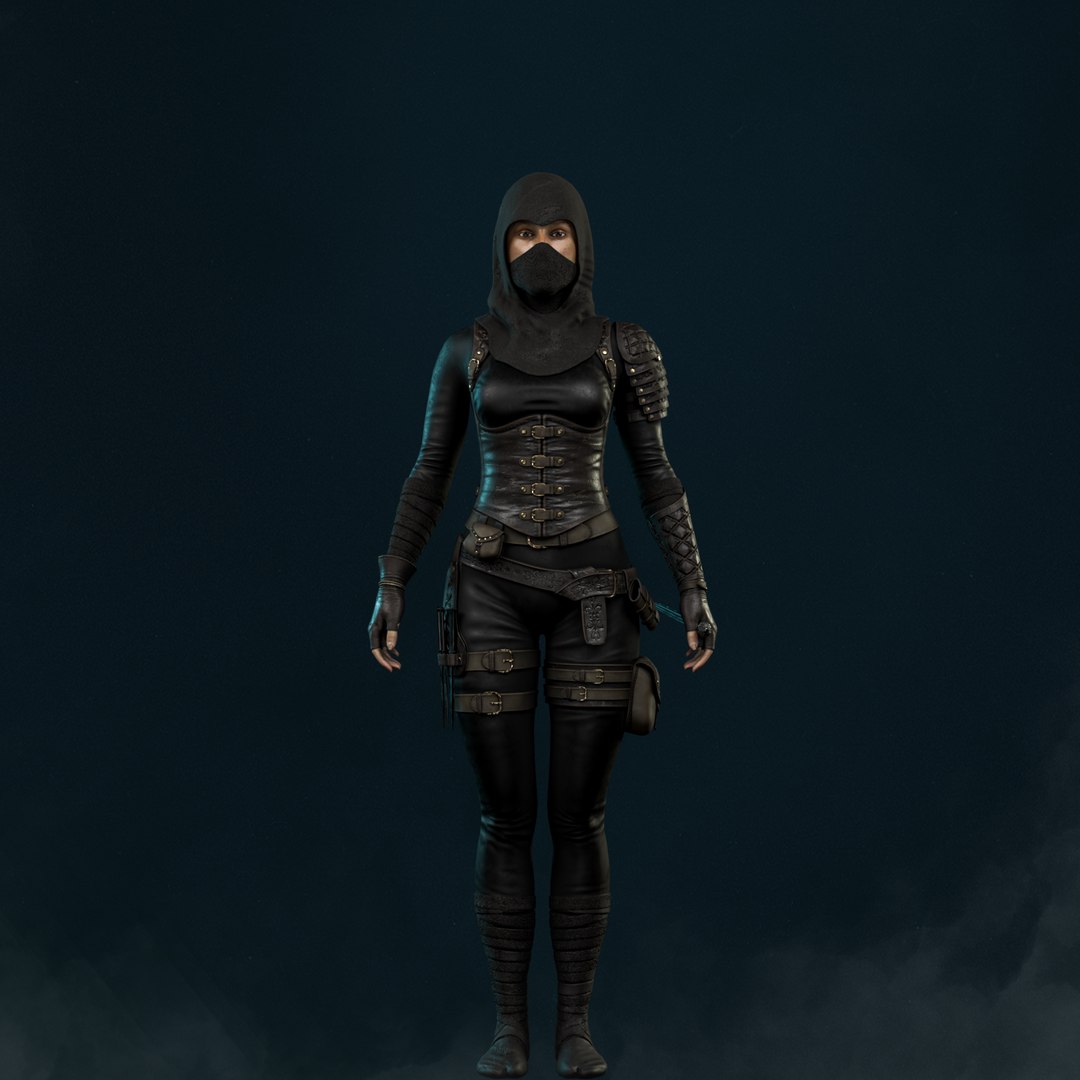 The Rogue 3D - TurboSquid 1911662