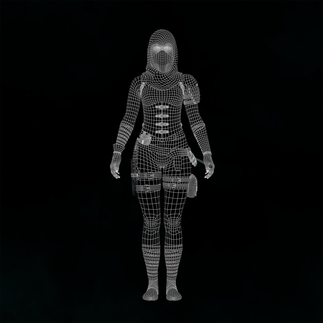 The Rogue 3D - TurboSquid 1911662