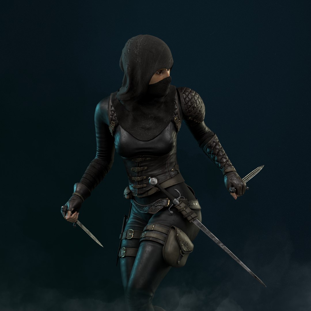 The Rogue 3D - TurboSquid 1911662