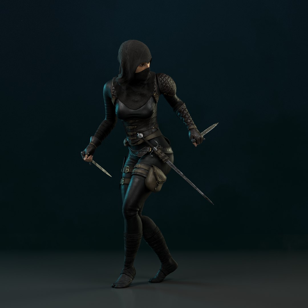 The Rogue 3D - TurboSquid 1911662