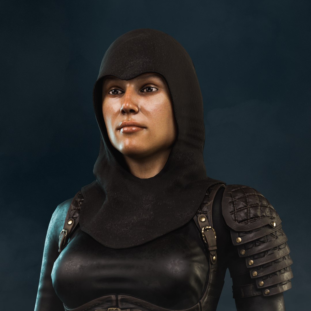 The Rogue 3D - TurboSquid 1911662