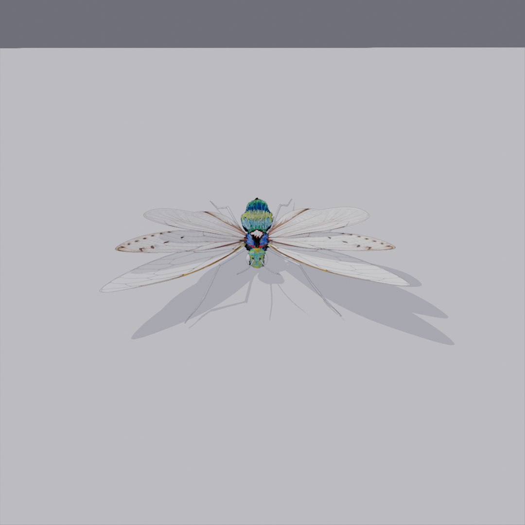 Free Insect Concept 3D Model - TurboSquid 1534565