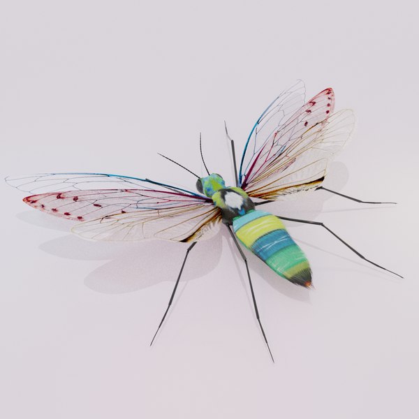 Free 3D Bug Models | TurboSquid