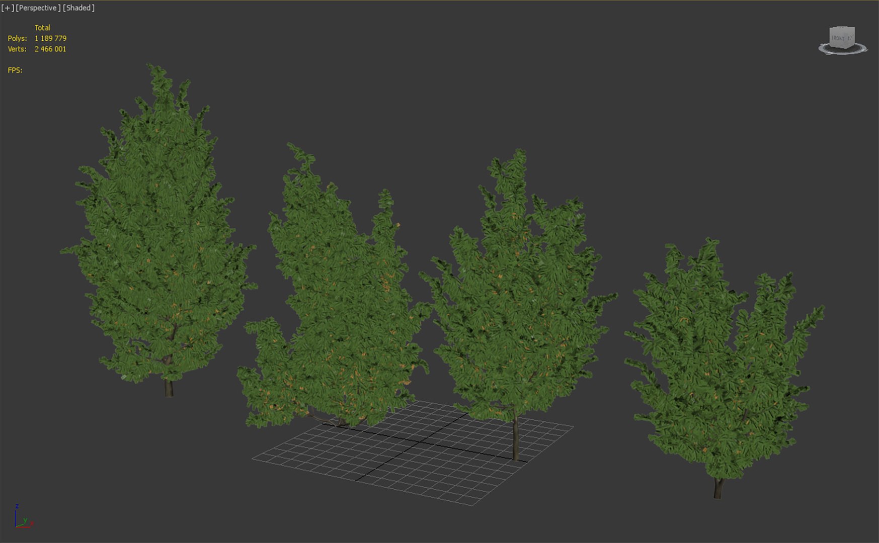 3D Juniper Juniperus Model - TurboSquid 1673380