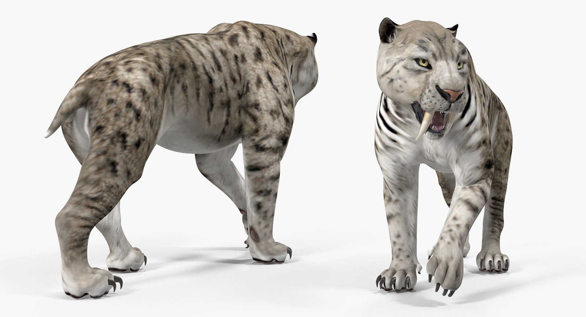 3D Arctic Saber Tooth Cat - TurboSquid 1379249