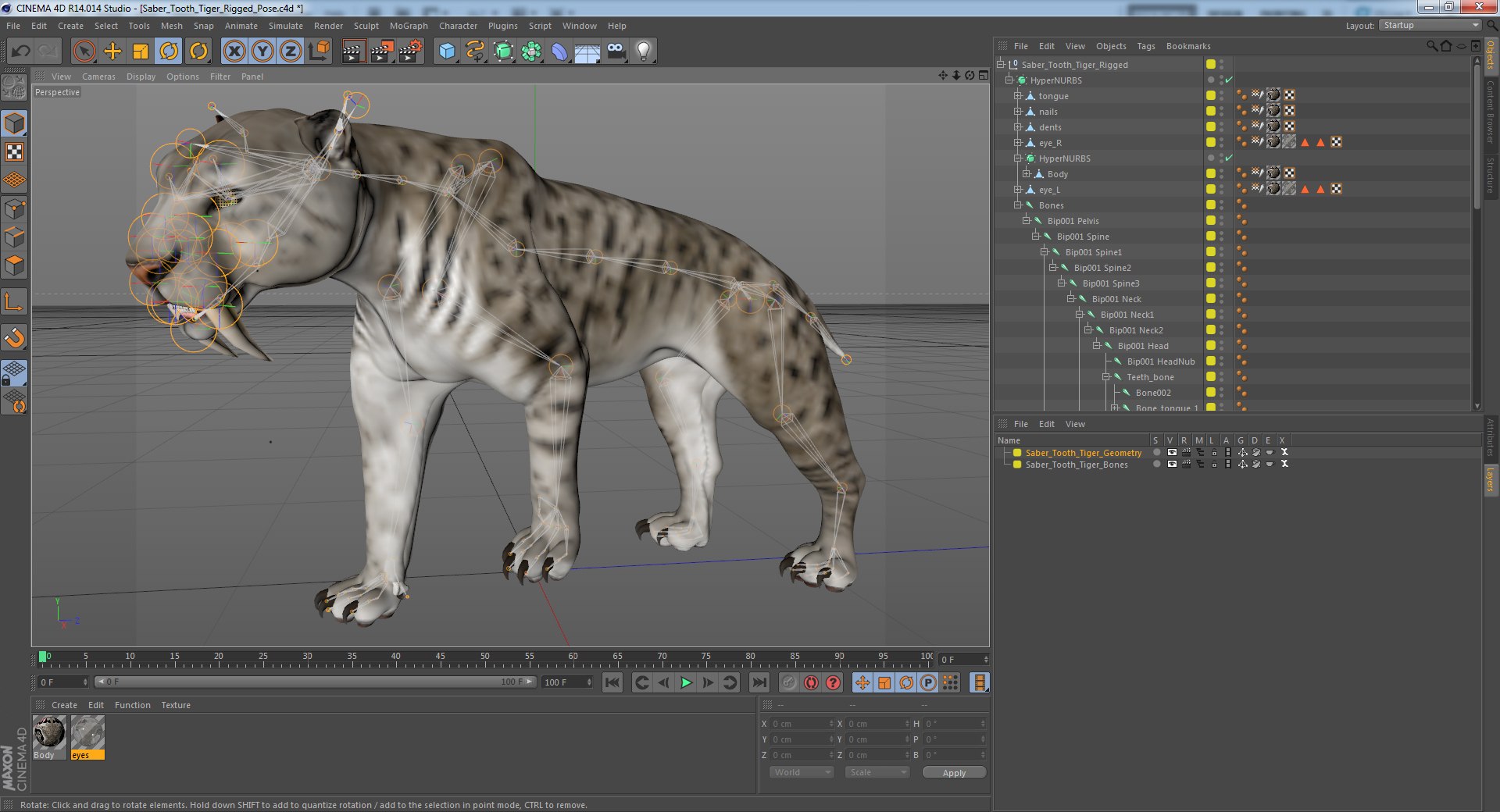 3D arctic saber tooth cat - TurboSquid 1379249
