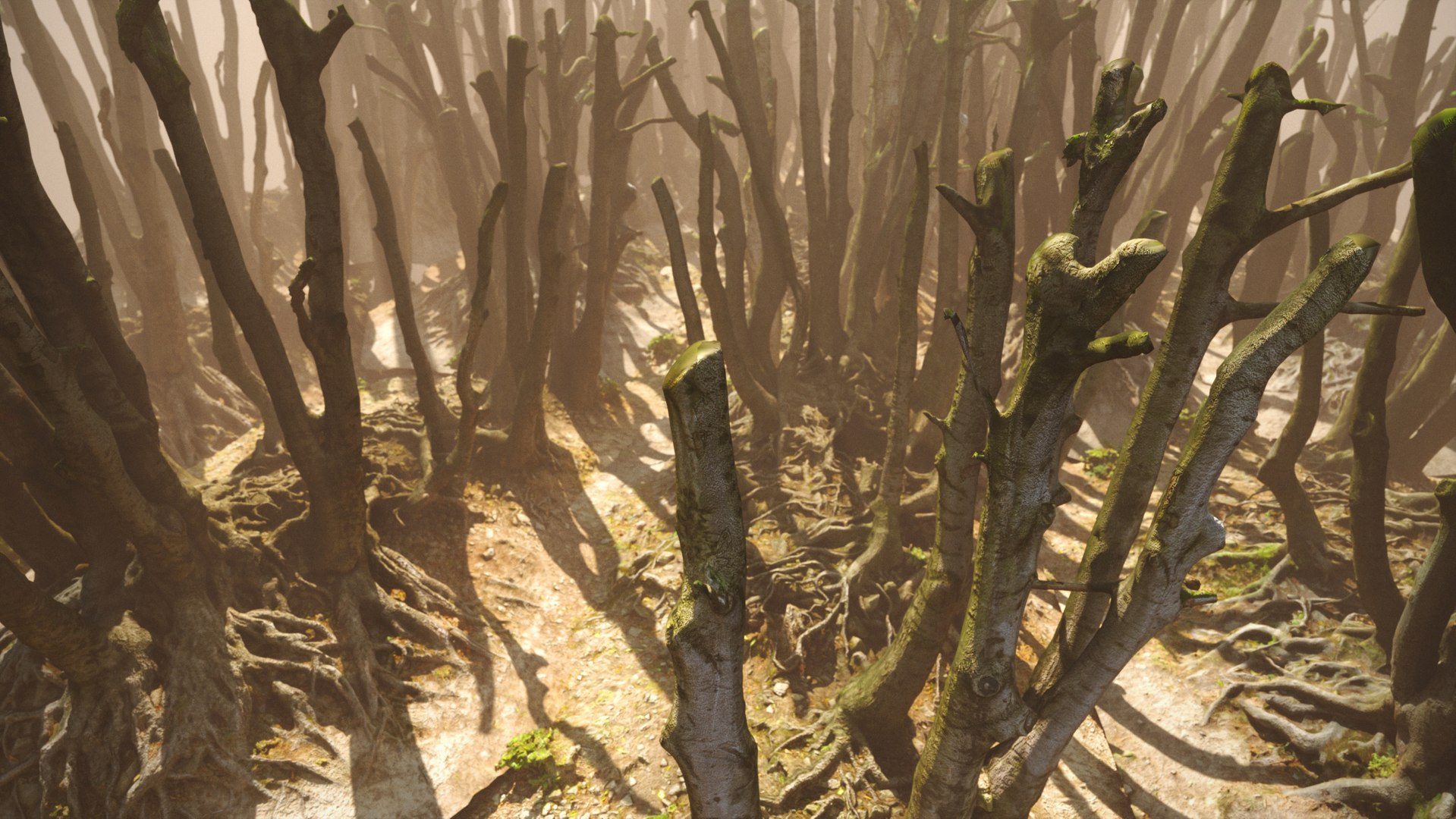 Real Forest Ultra HD 3D Model - TurboSquid 2355370