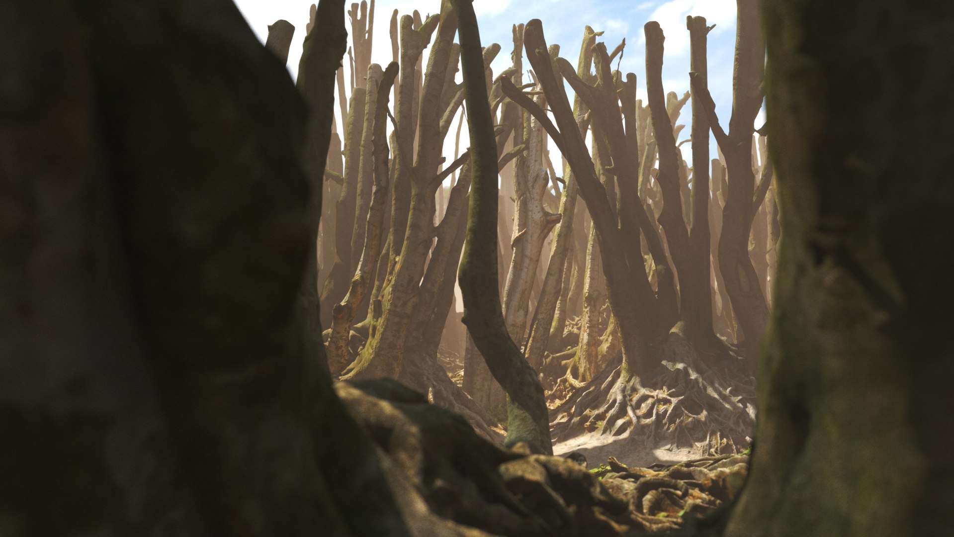 Real Forest Ultra HD 3D Model - TurboSquid 2355370