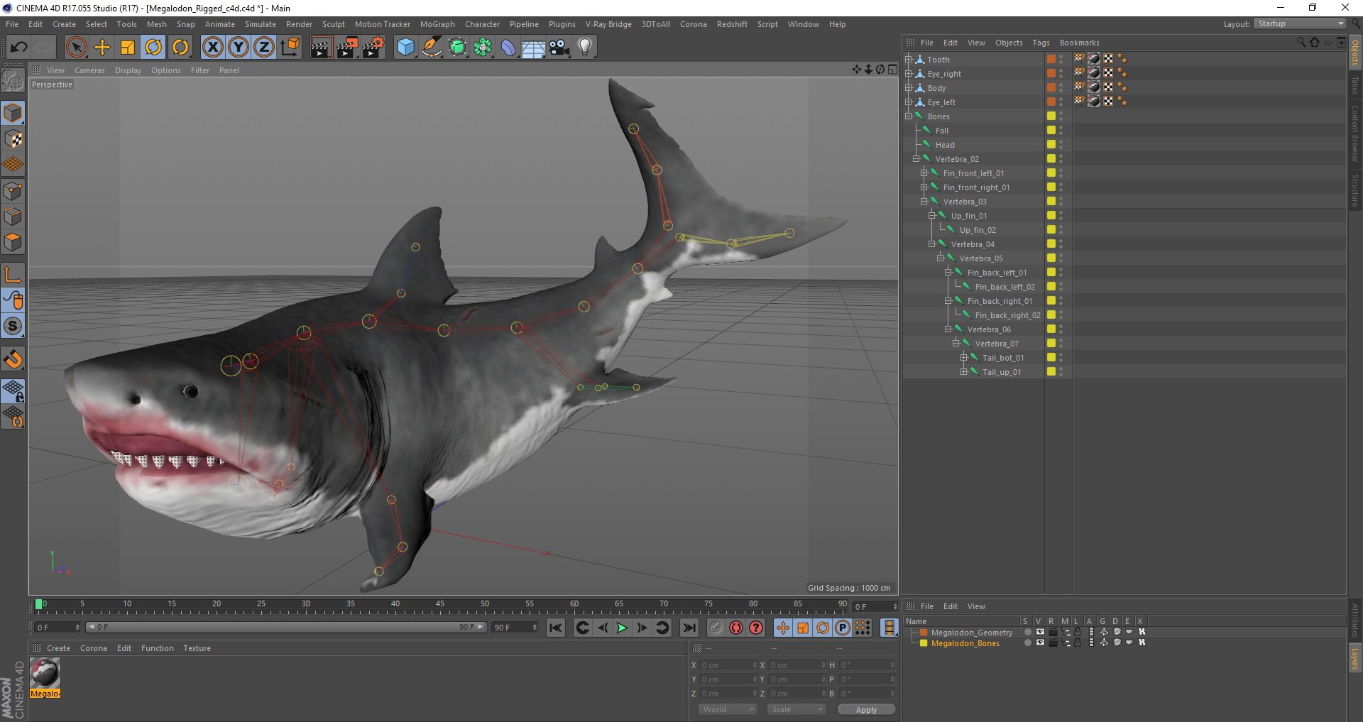 3D Model Megalodon Rigged For Cinema 4D - TurboSquid 1761462