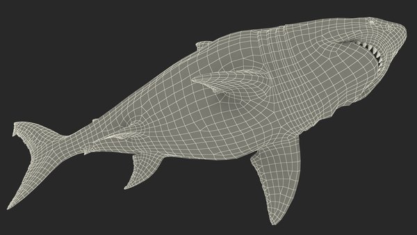 3D model Megalodon Rigged for Cinema 4D - TurboSquid 1761462