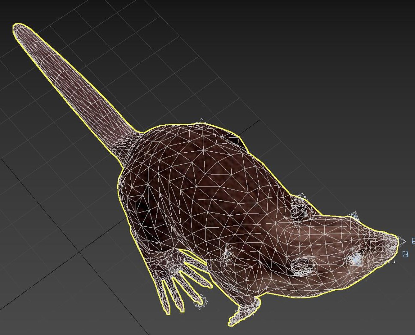 3D Animation Model - TurboSquid 1491815