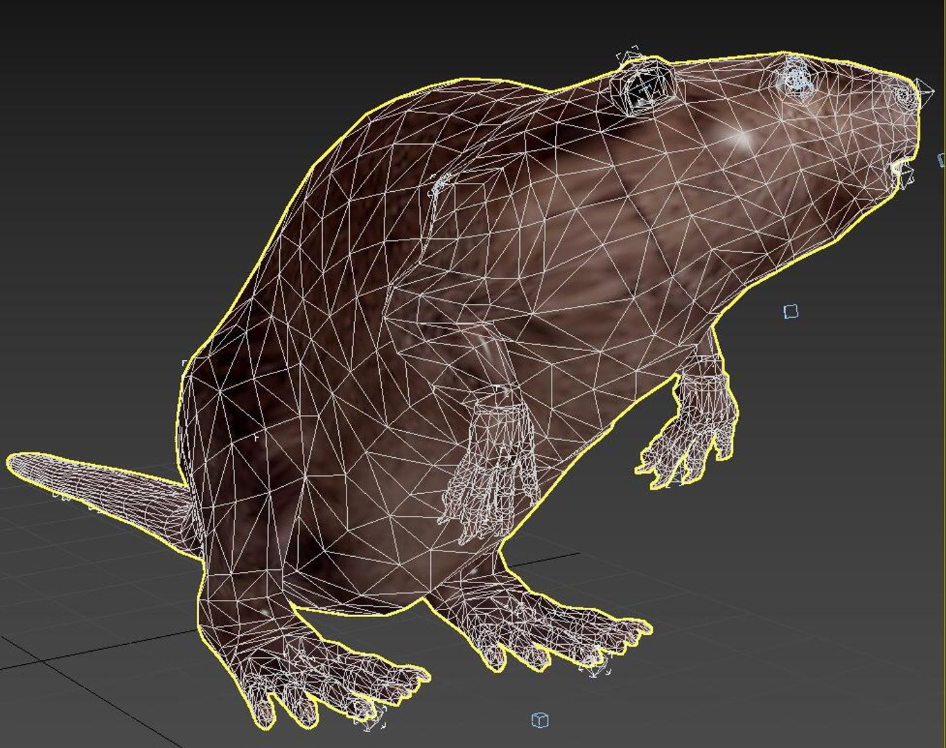 3D Animation Model - TurboSquid 1491815