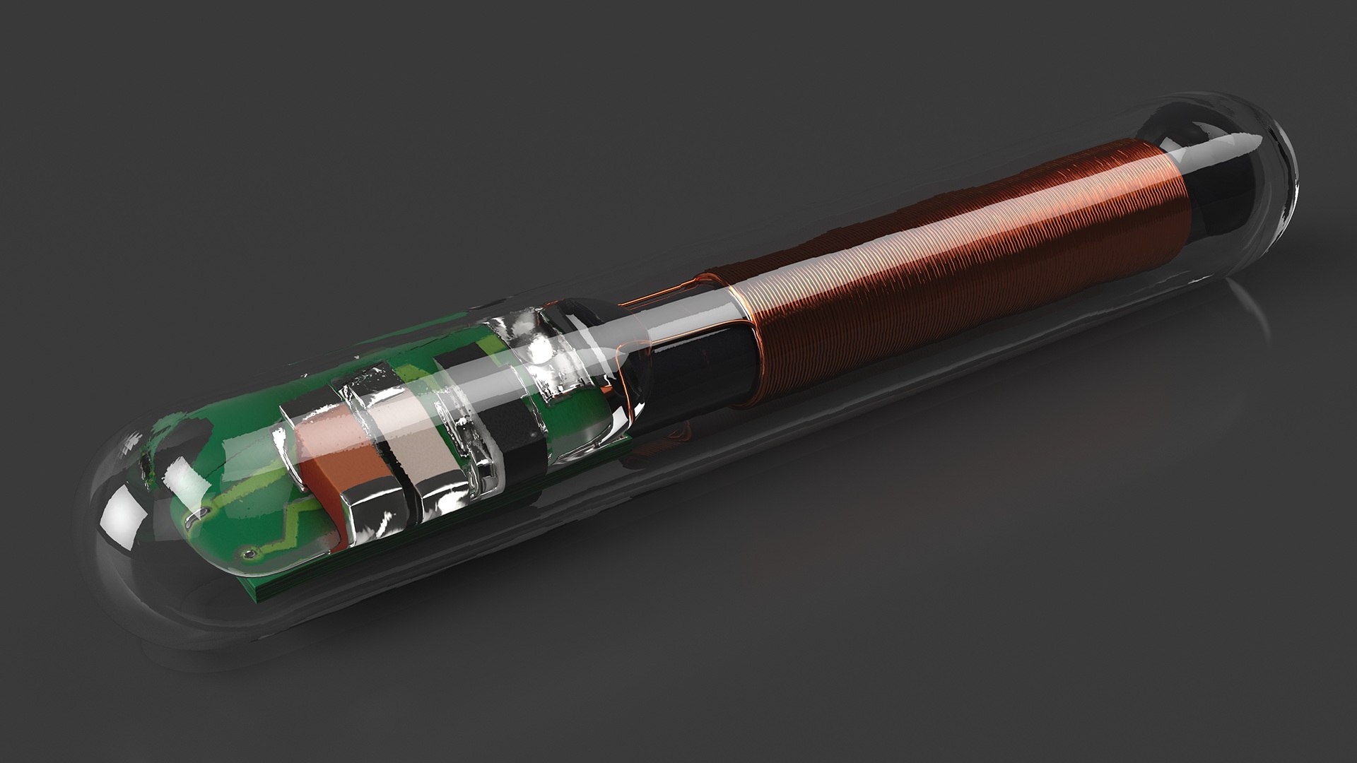 3D Microchip Animal RFID Tag Model - TurboSquid 2070499