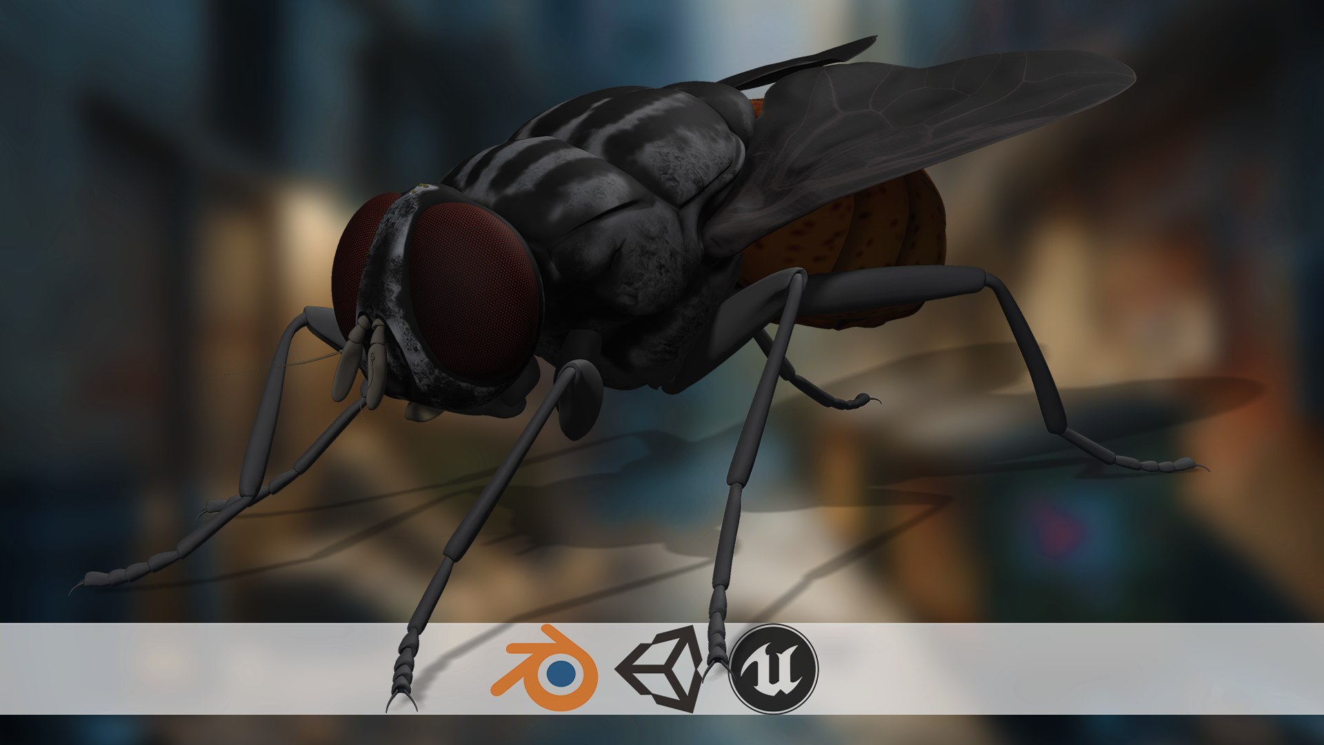 Insect Intrigue 3D Housefly Rigged Low-poly 3D Model 3D Model ...