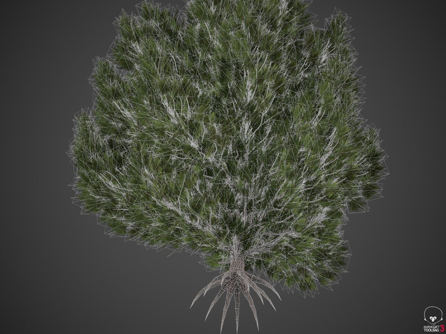 3D Cypress Tree Nature Model - TurboSquid 1676980