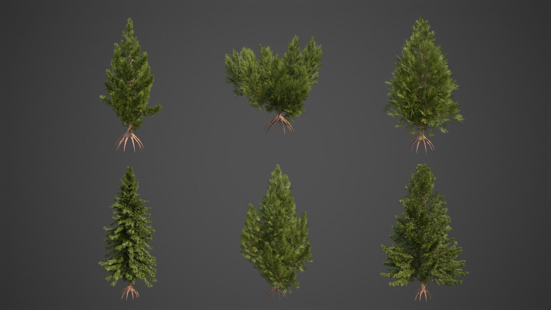 3D Cypress Tree Nature Model - TurboSquid 1676980