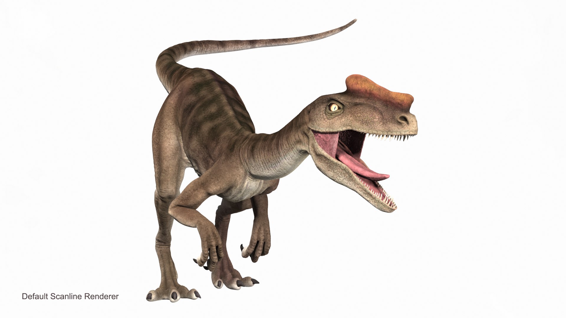 3D Proceratosaurus Theropod Dinosaur - TurboSquid 1596185