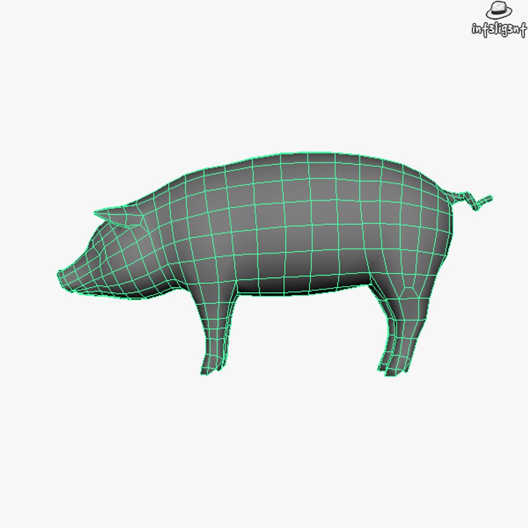pig edge loop 3d model