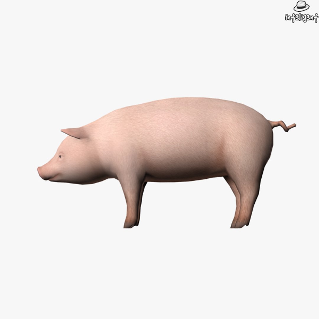 pig edge loop 3d model