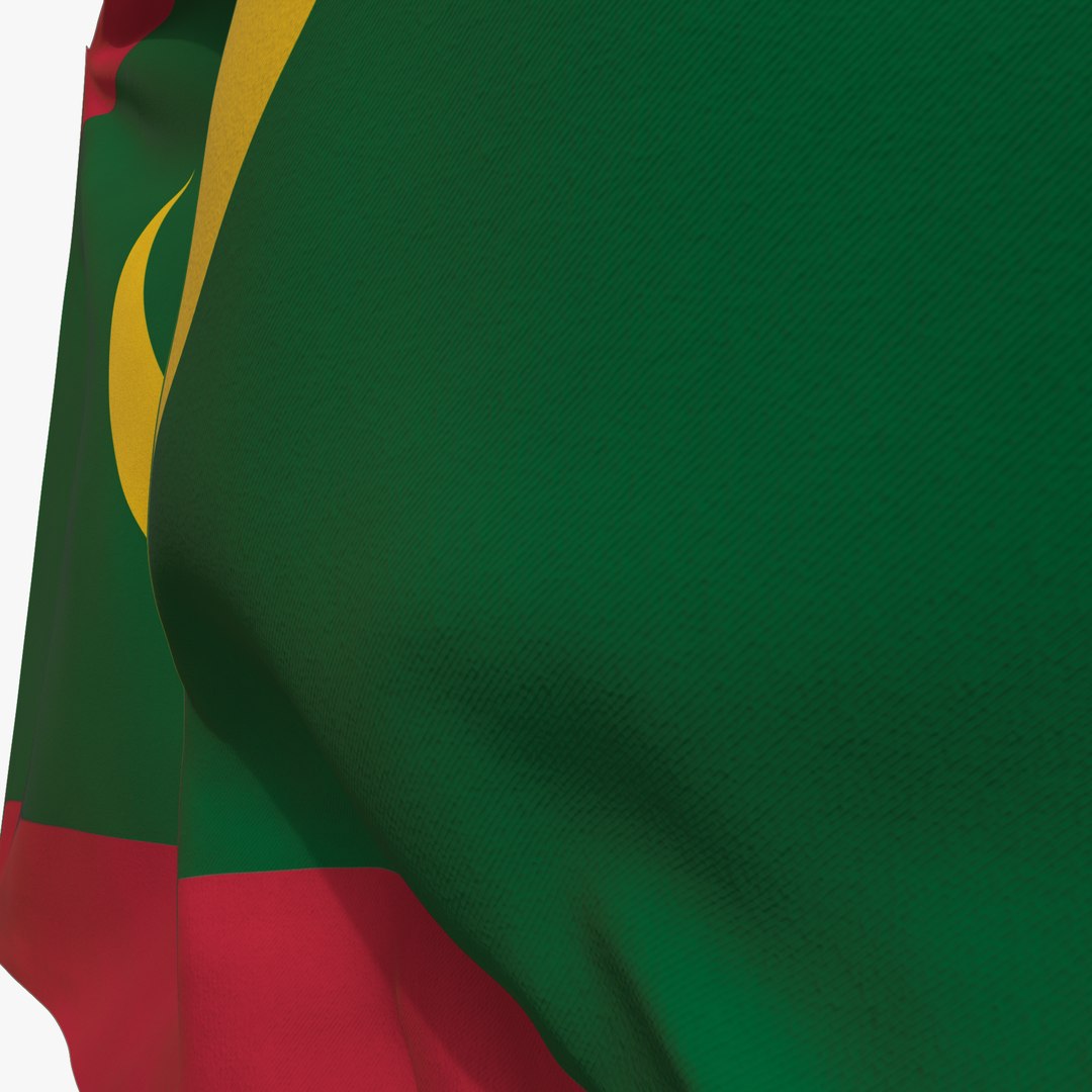 3D Realistic Animated Flag - Microtexture Rigged - Put Your Own Texture ...