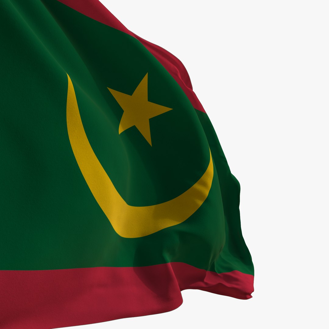 3D Realistic Animated Flag - Microtexture Rigged - Put Your Own Texture ...