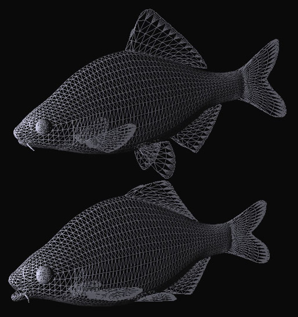 swimming 3d model