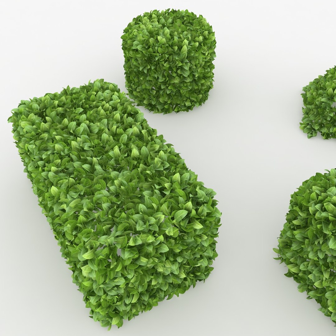 3d Realistic Hedge 05 4 Model