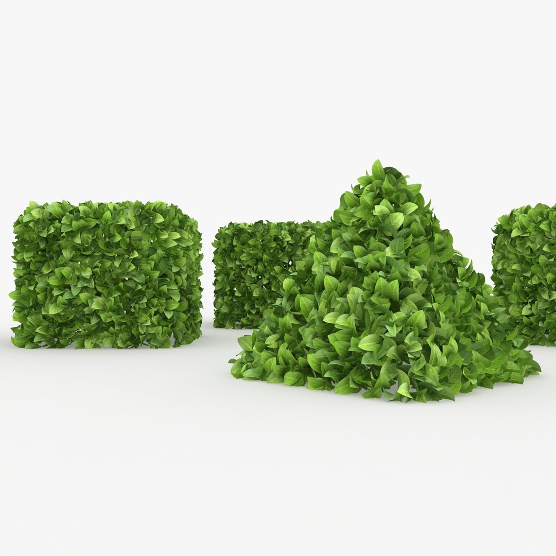 3d Realistic Hedge 05 4 Model