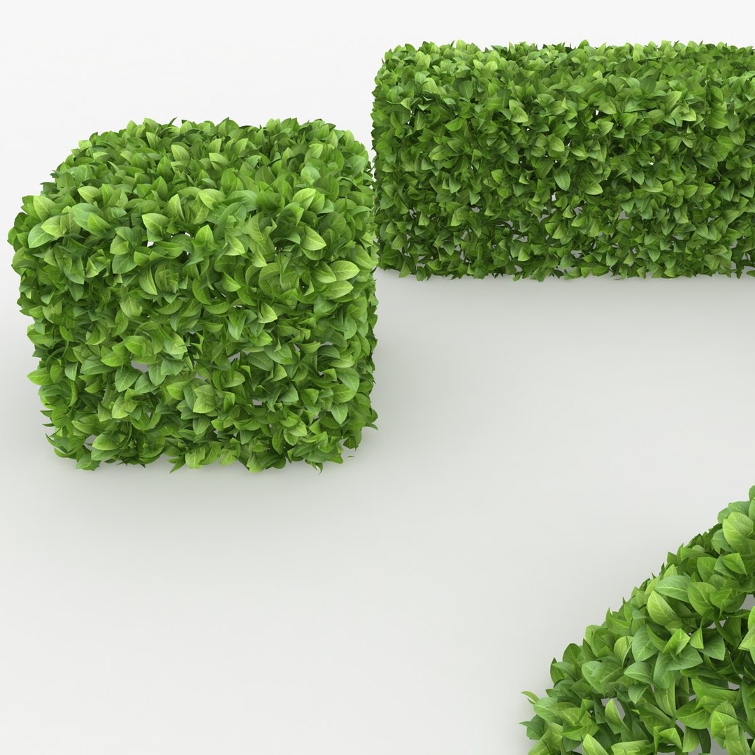 3d Realistic Hedge 05 4 Model