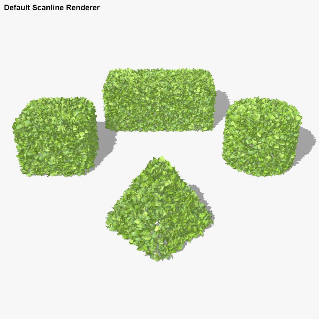 3d Realistic Hedge 05 4 Model