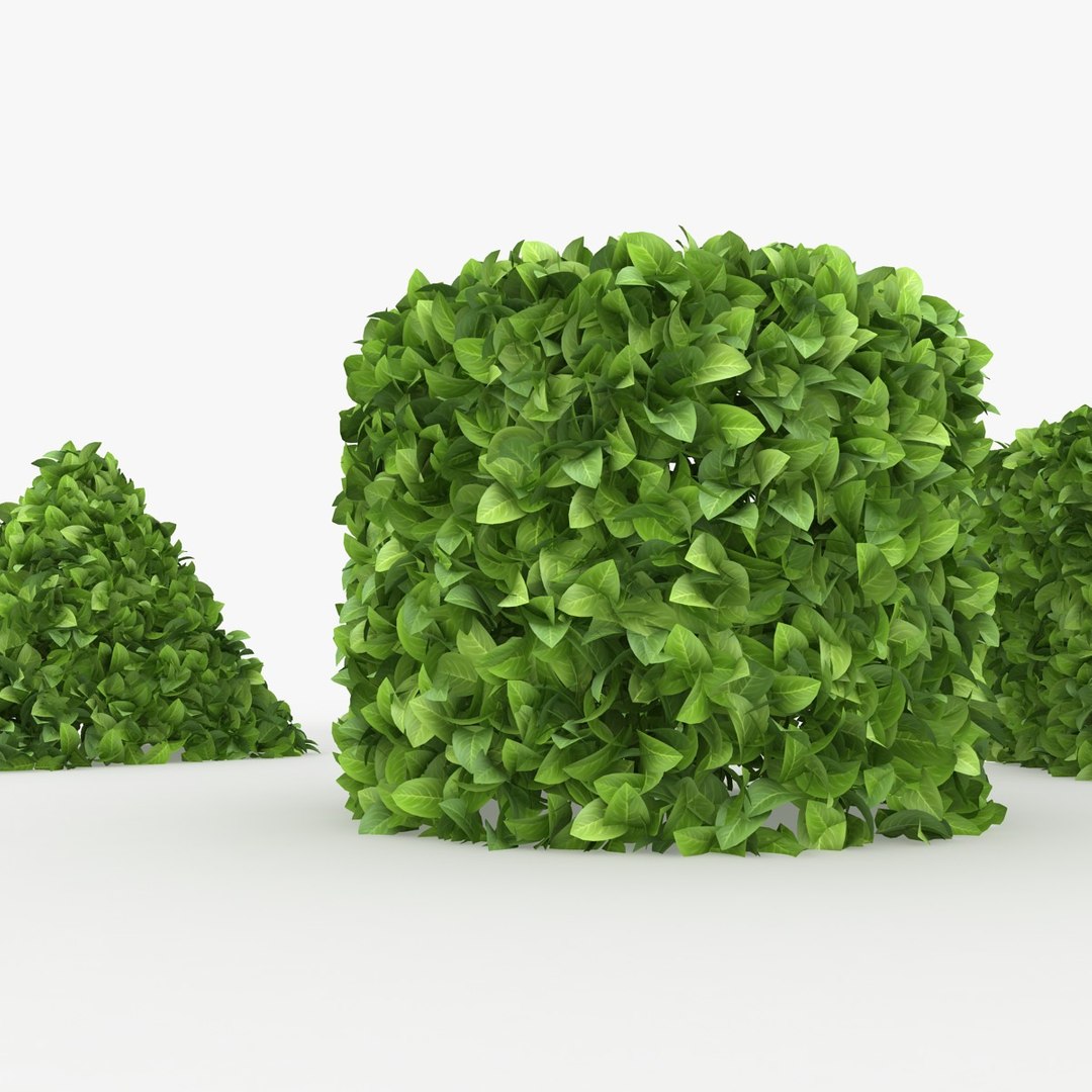 3d Realistic Hedge 05 4 Model