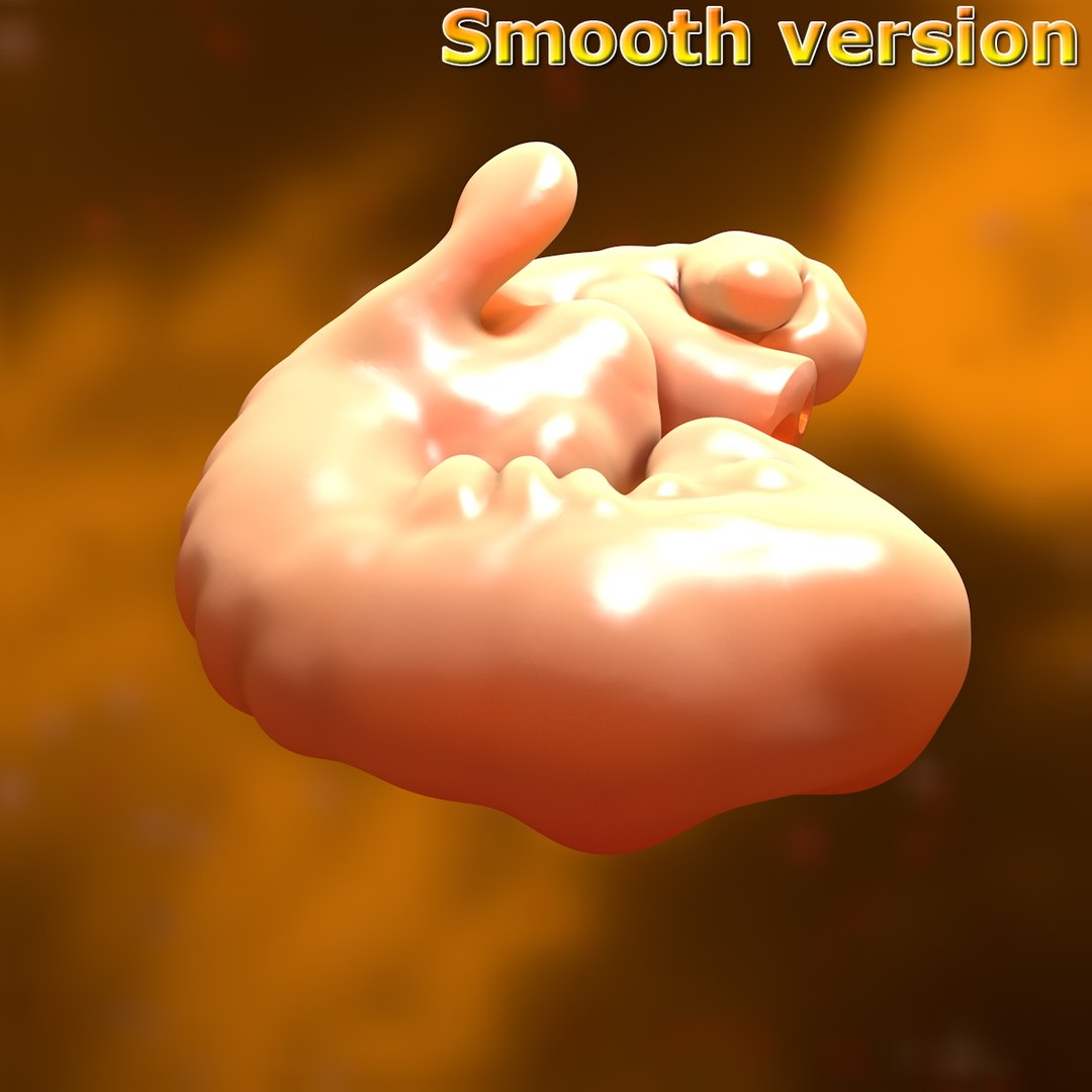 3d human embryo