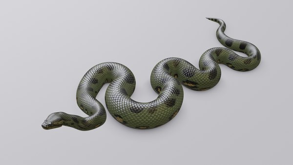 3D model green anaconda - TurboSquid 1256788