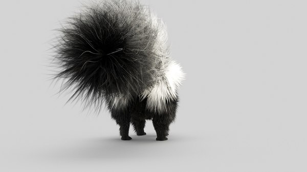 3D Skunk model - TurboSquid 1742075