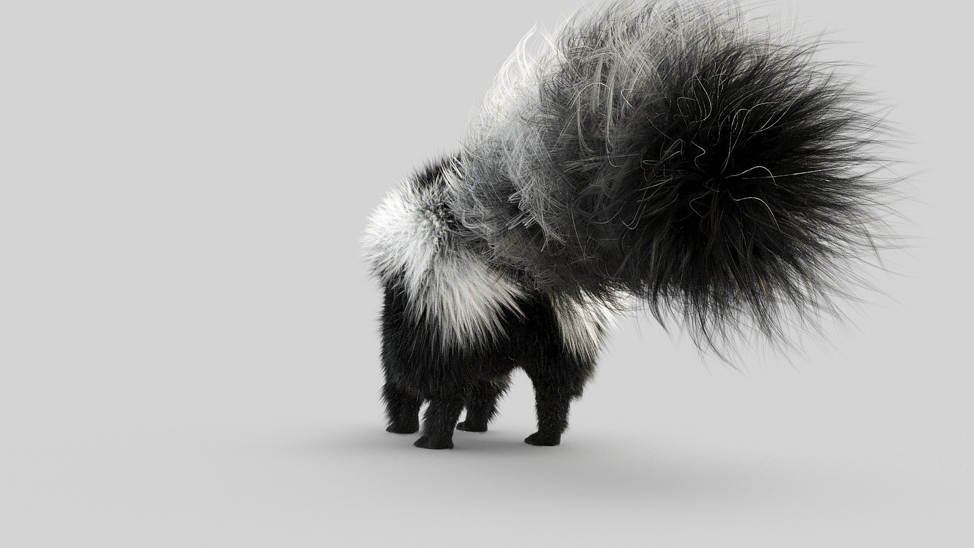 3D Skunk Model - TurboSquid 1742075