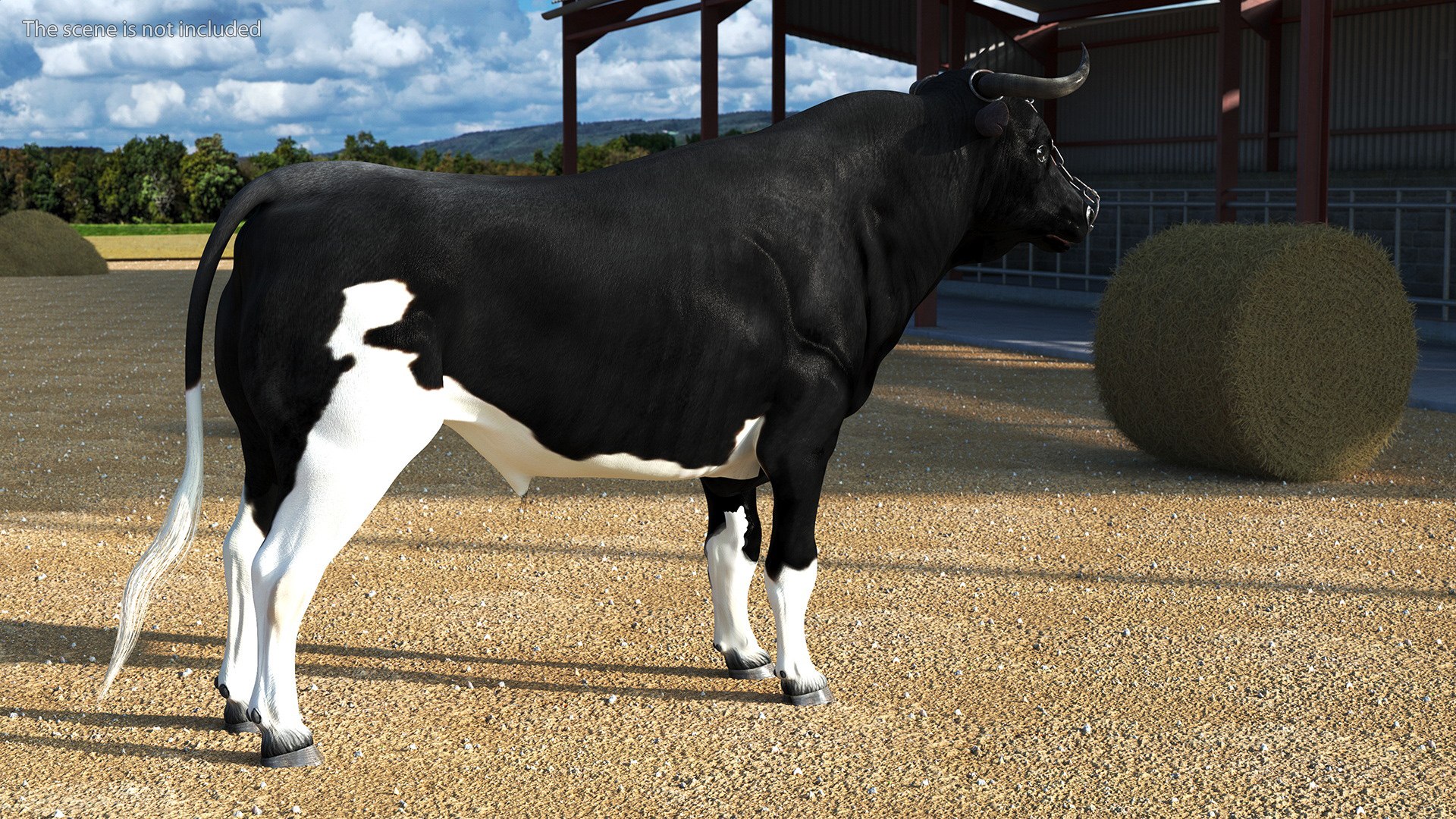 Bull with a Chain 3D model - TurboSquid 2167672