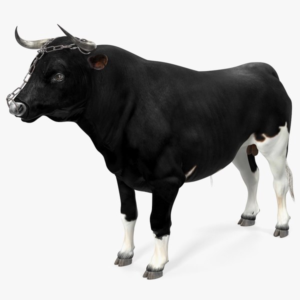 Free 3D Bull Models | TurboSquid