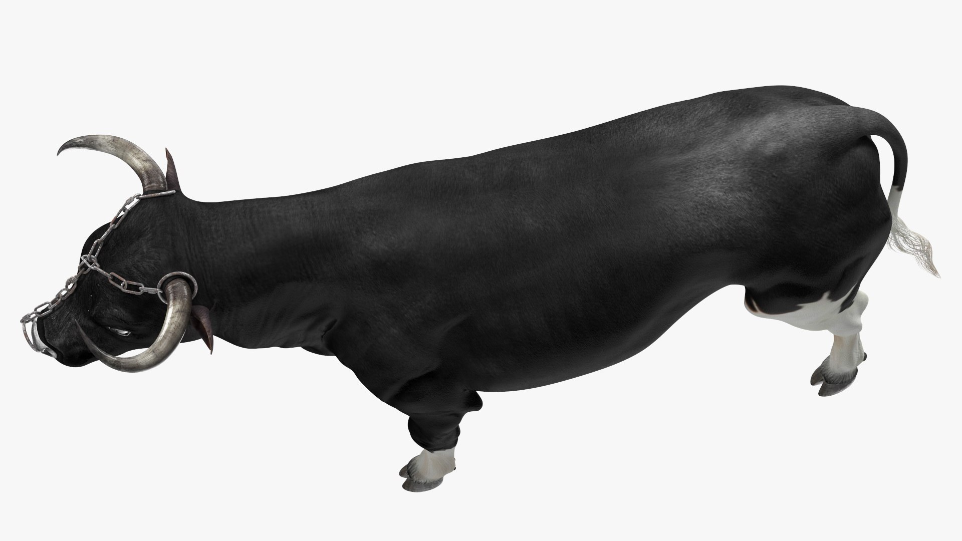 Bull with a Chain 3D model - TurboSquid 2167672