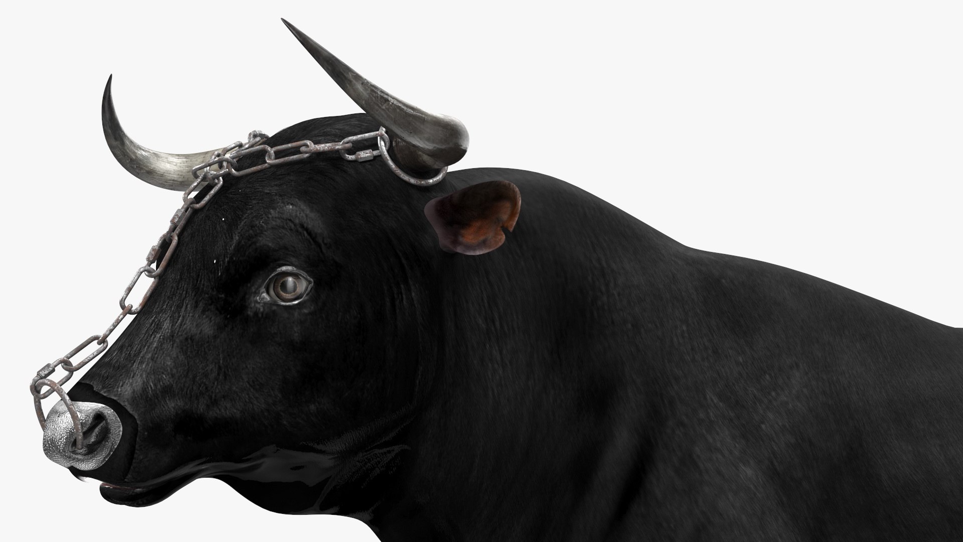 Bull with a Chain 3D model - TurboSquid 2167672