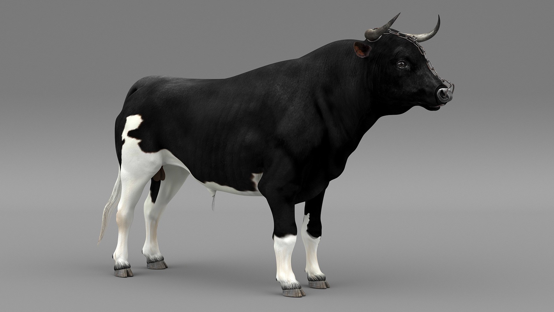 Bull with a Chain 3D model - TurboSquid 2167672