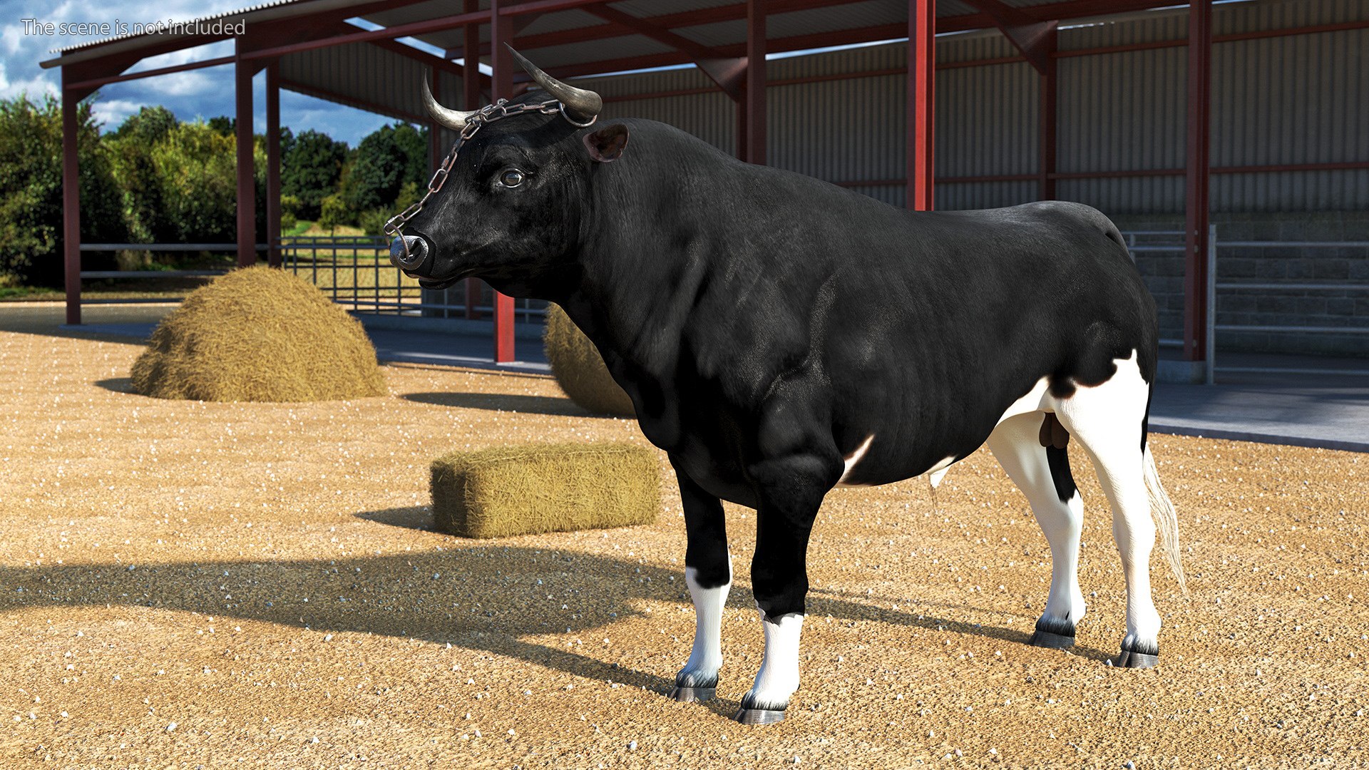 Bull with a Chain 3D model - TurboSquid 2167672