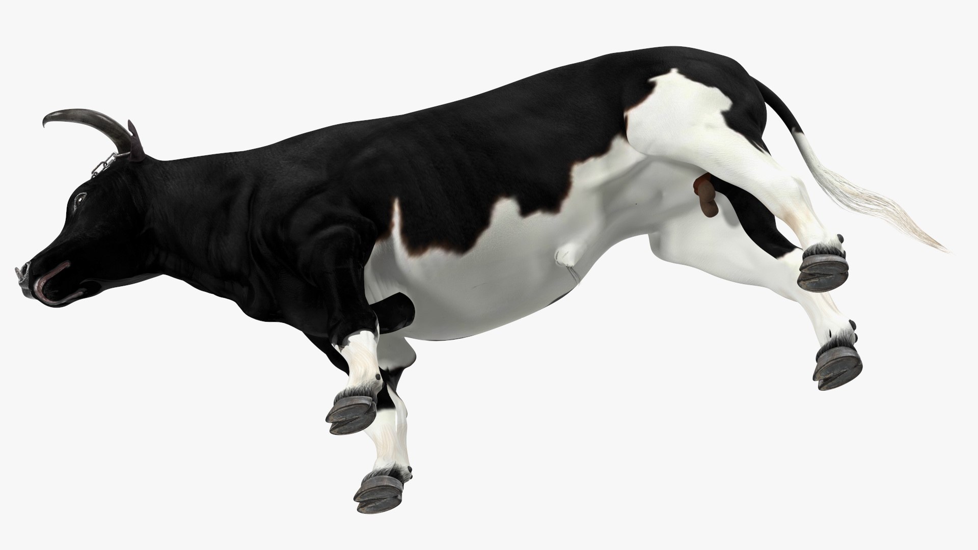 Bull with a Chain 3D model - TurboSquid 2167672