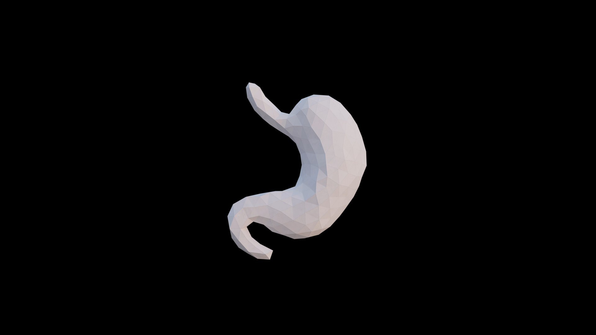 3D Origami Human Stomach Unfolding Growing Animation Model - TurboSquid ...